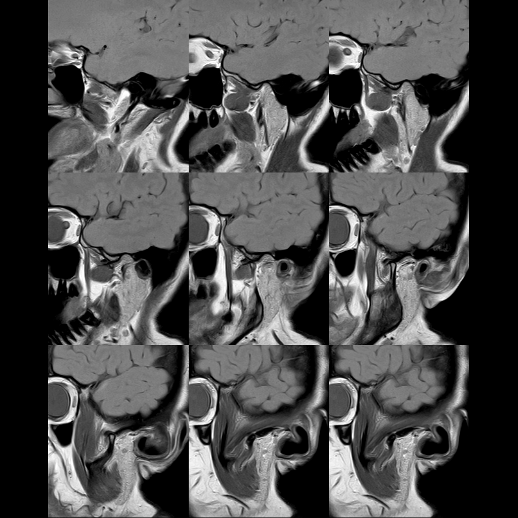 Gallery - Synergy Imaging