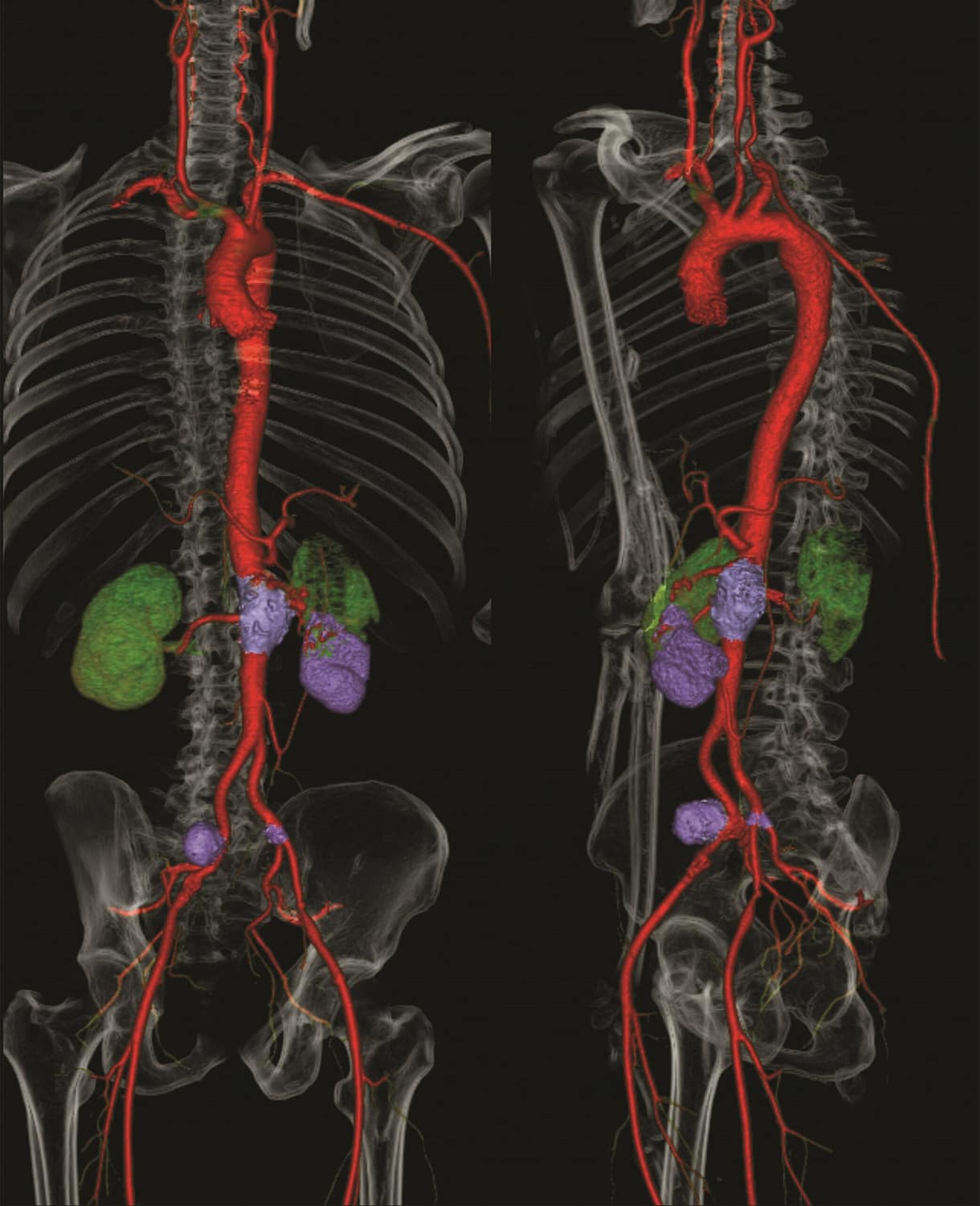 Gallery - Synergy Imaging