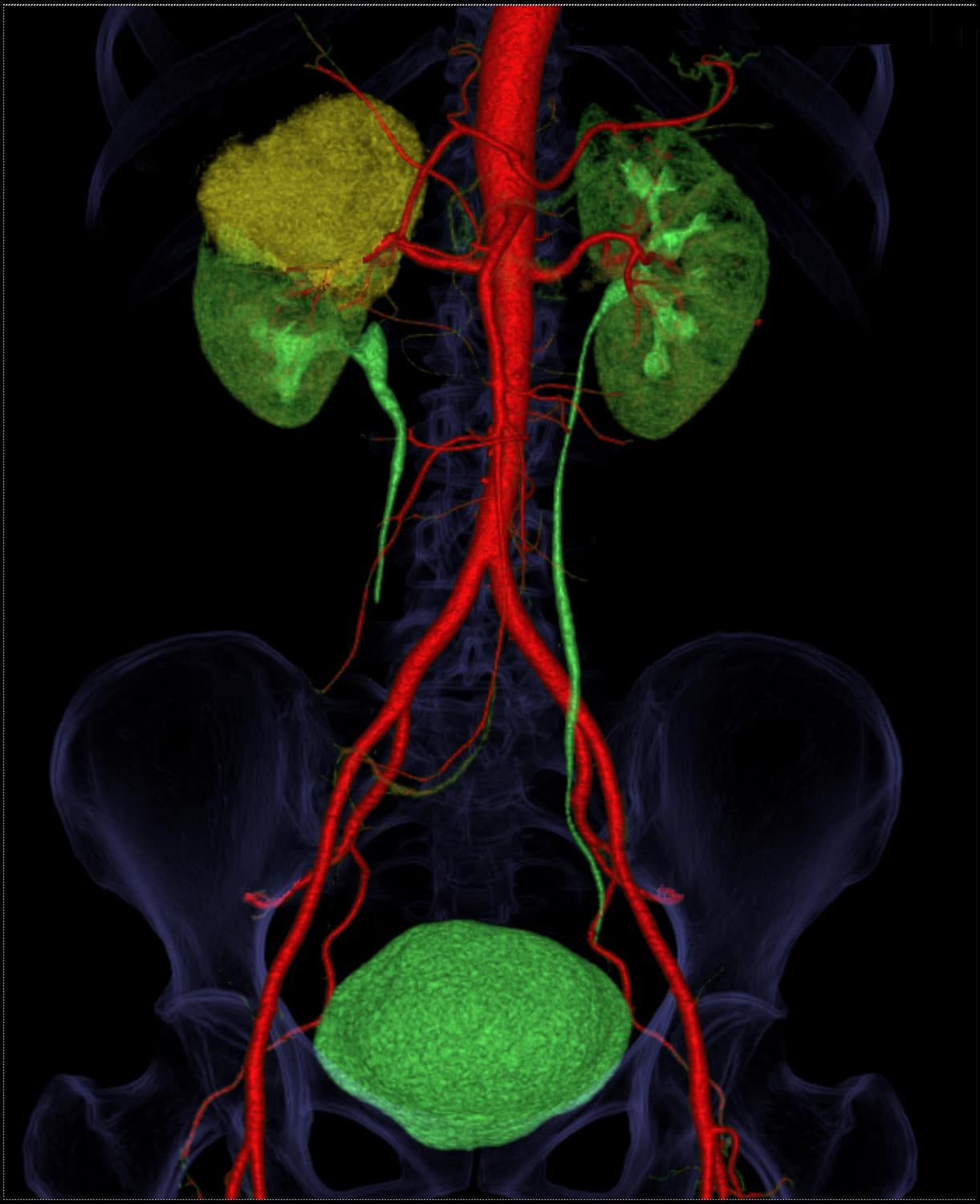 Gallery - Synergy Imaging