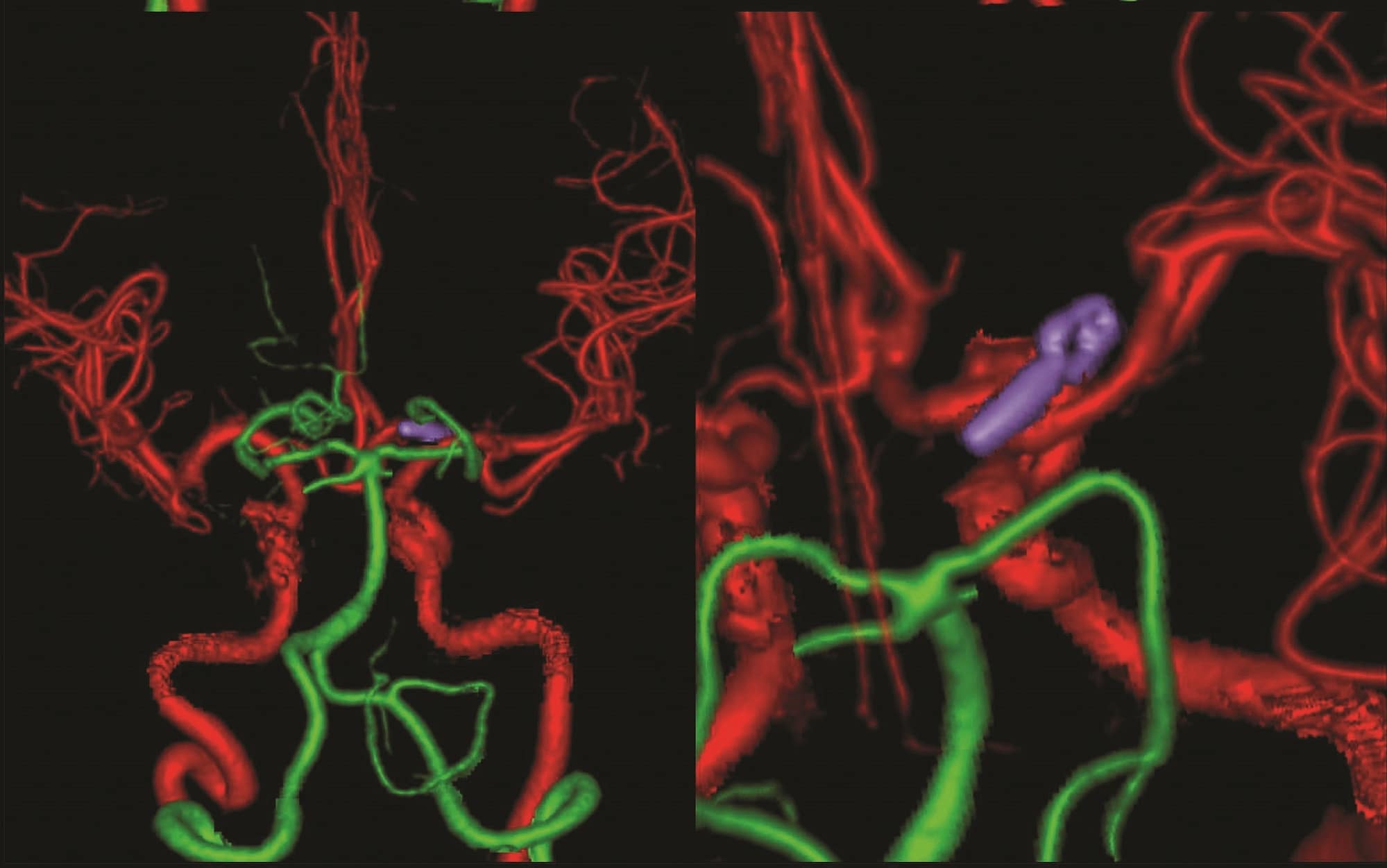 Gallery - Synergy Imaging