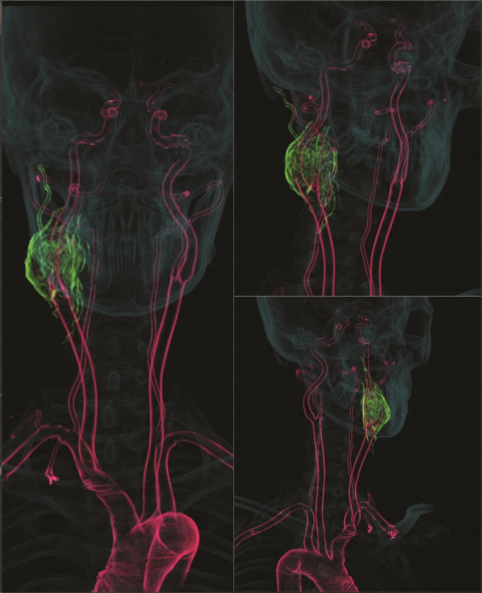 Gallery - Synergy Imaging
