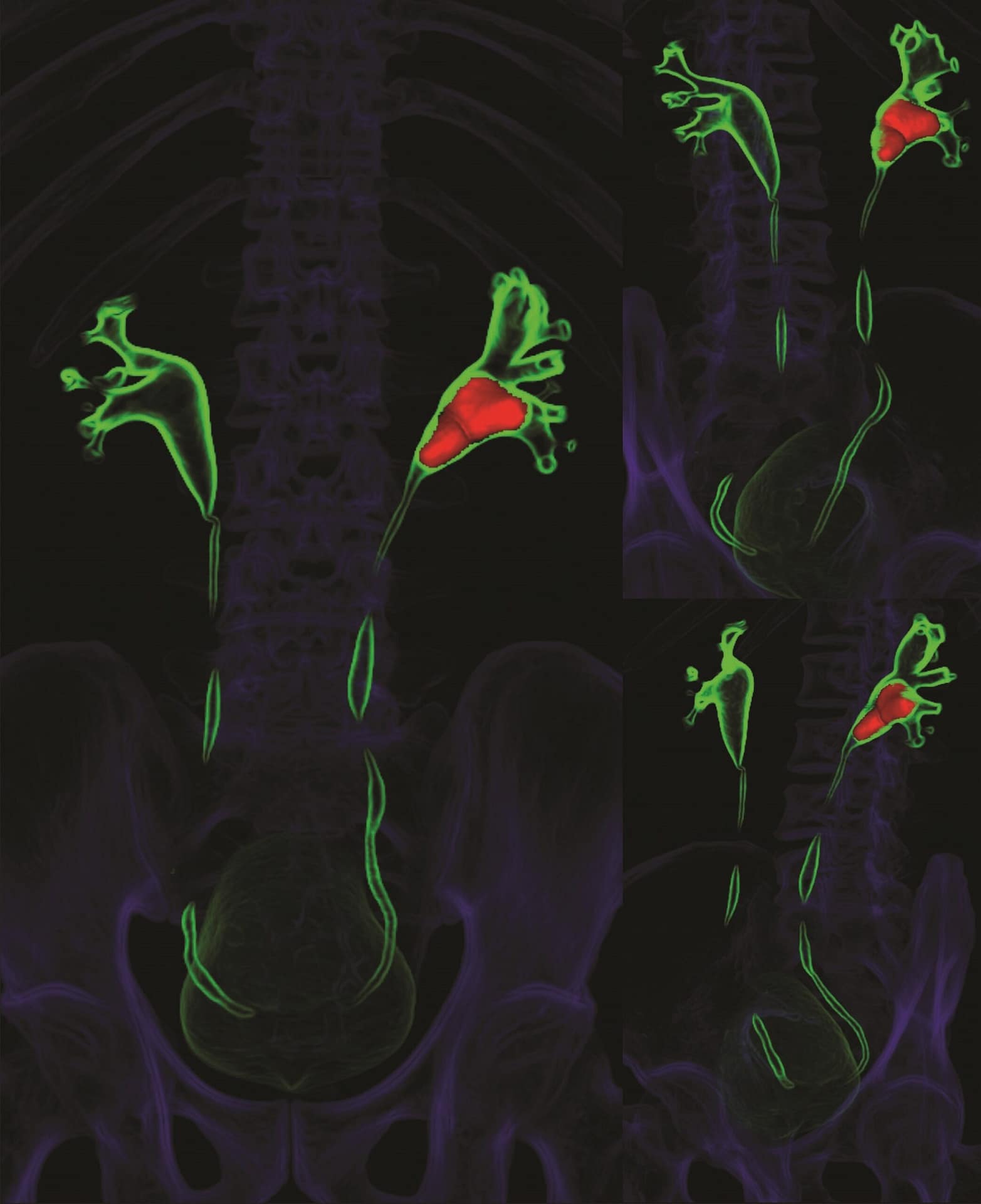 Gallery - Synergy Imaging