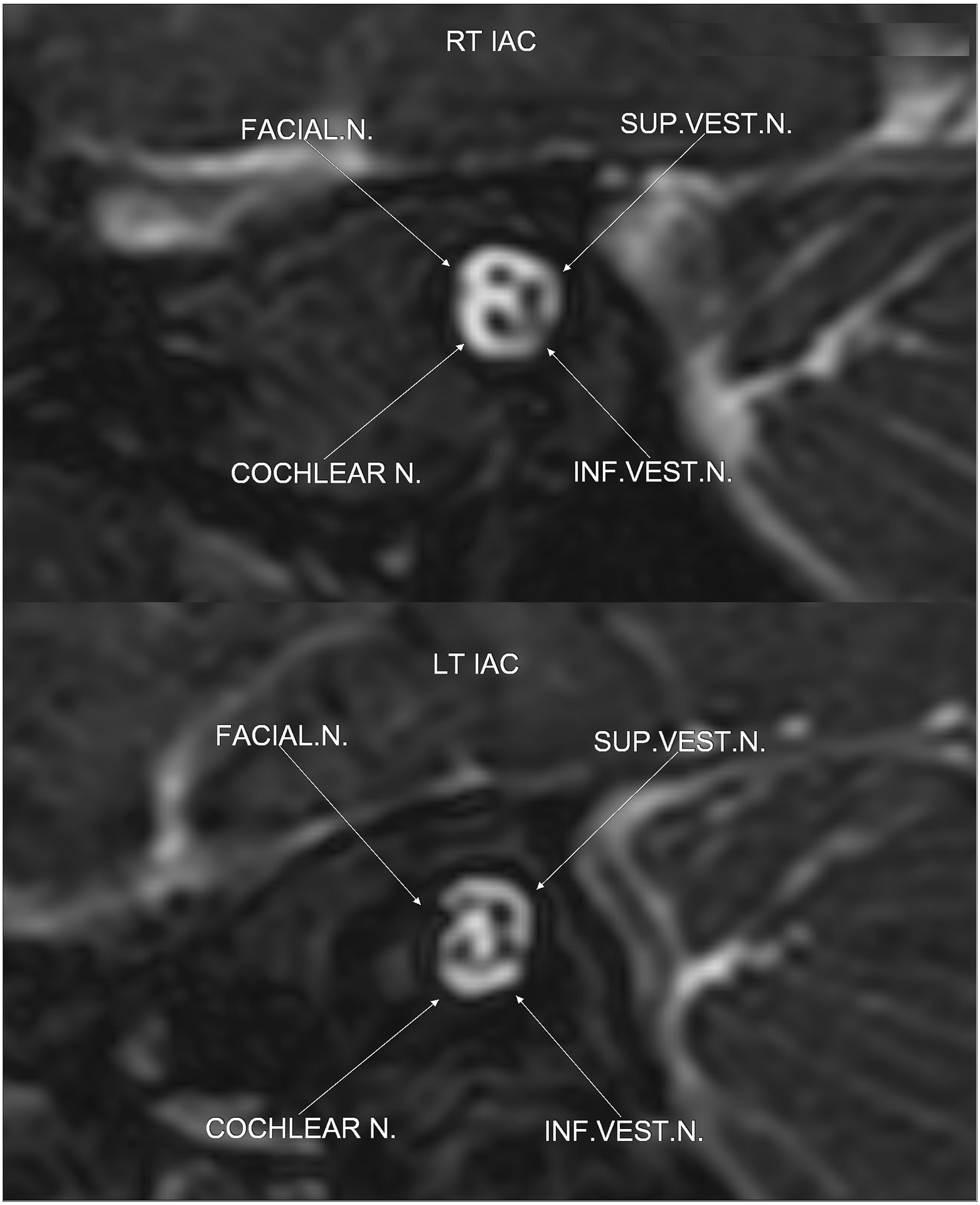 Gallery - Synergy Imaging